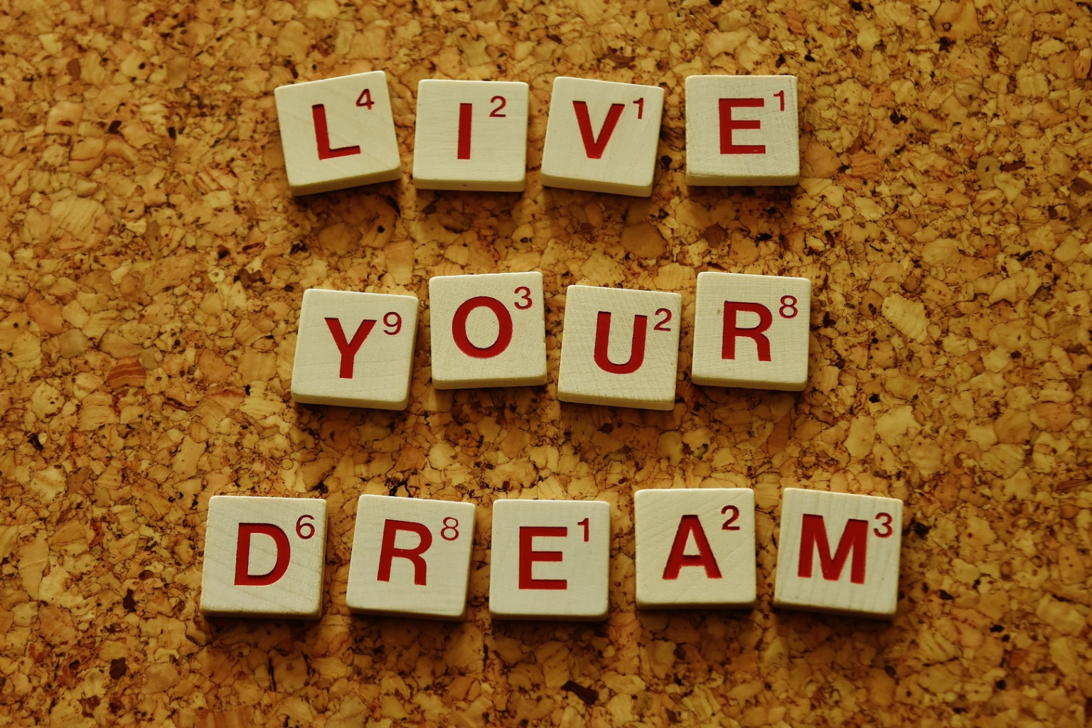 Best Ways to Spend Free Time at Home for Students - Mentoria