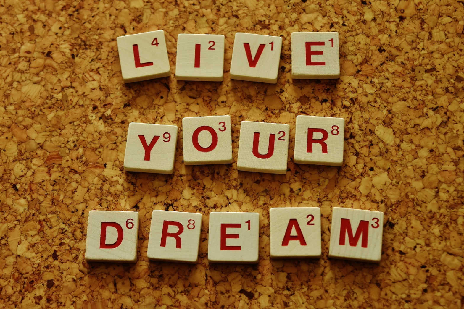 Best Ways to Spend Free Time at Home for Students - Mentoria
