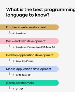 10 Career Options For Software Engineers - Mentoria