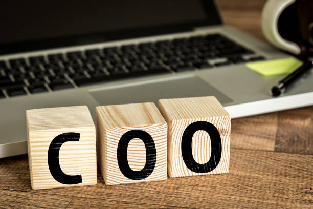 The COO Spectrum: Understanding The 8 Types, Their Strengths, And ...